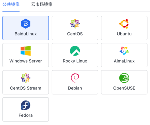 CentOS“退役”后AlmaLinux和Rocky Linux怎么选？ – orczhou.com